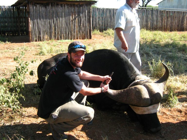 Temporary Work Abroad – Essential Info, Tips and AdviceWorldwide Insure